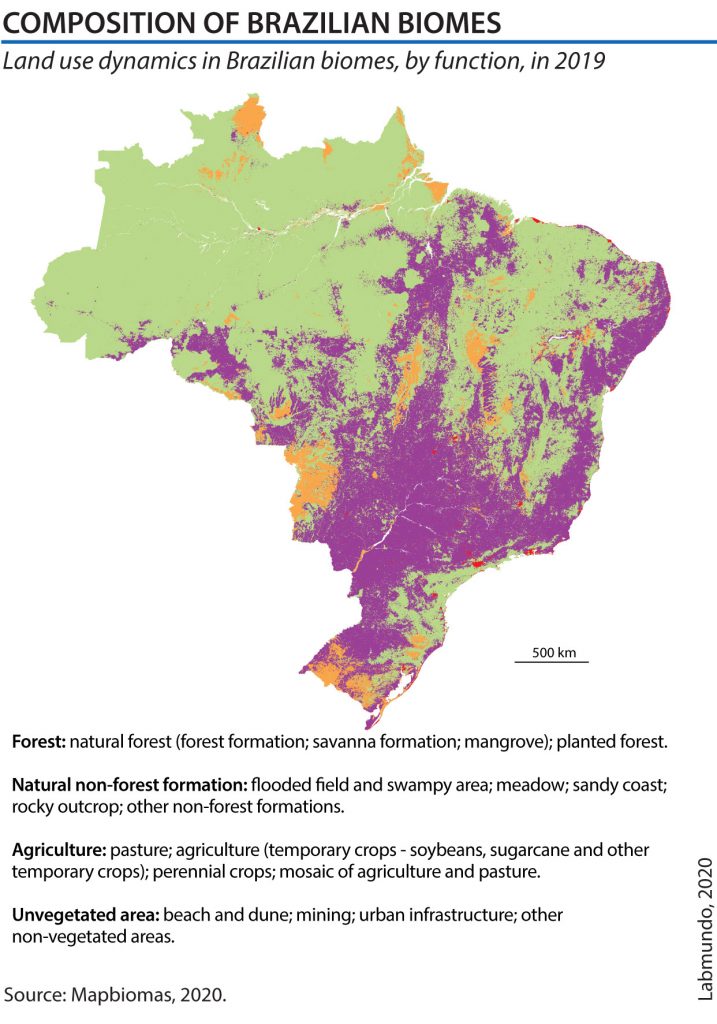 Composition of Brazilian biomes – Labmundo
